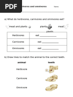 Grade 3 Science: Animal Diets Worksheet | PDF | Science & Mathematics