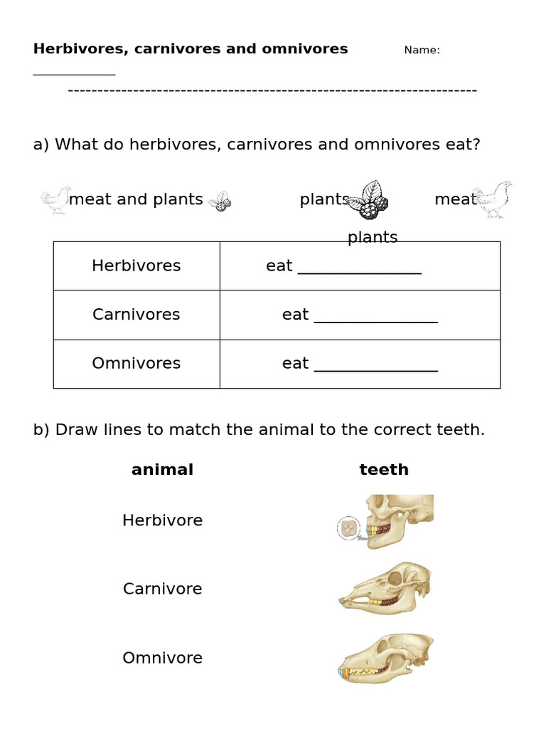 Worksheet - Herbivores, Carnivores and Omnivores | PDF | Science ...