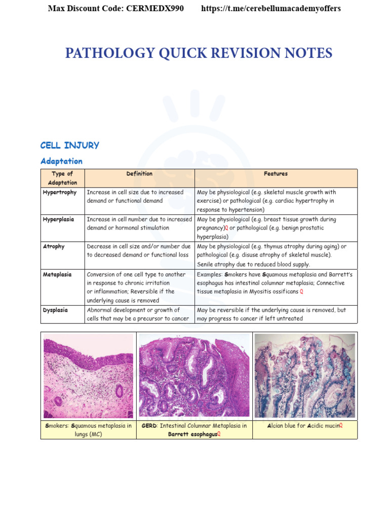 Pathology | PDF | Apoptosis | Staining