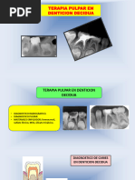 Anatomia Pulpar | PDF | Medicina CLINICA | Diente