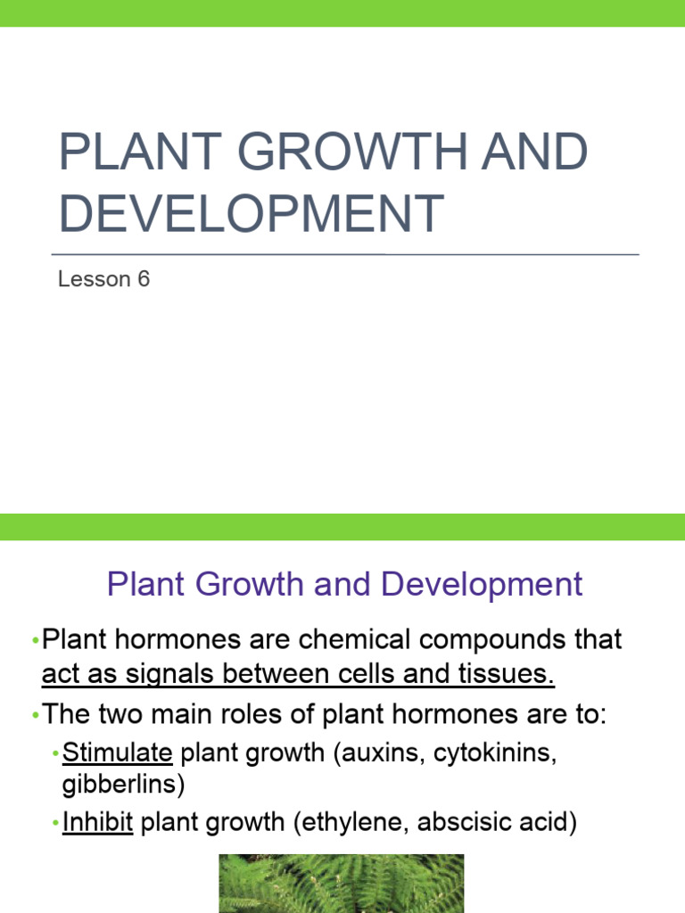 Lesson 6 - Plant Growth and Development | PDF | Plant Hormone | Auxin