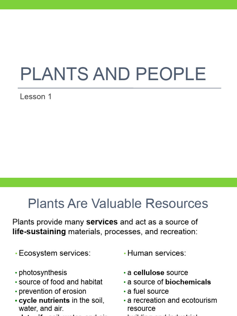 Lesson 1 - Plants and People | PDF | Foods | Plants