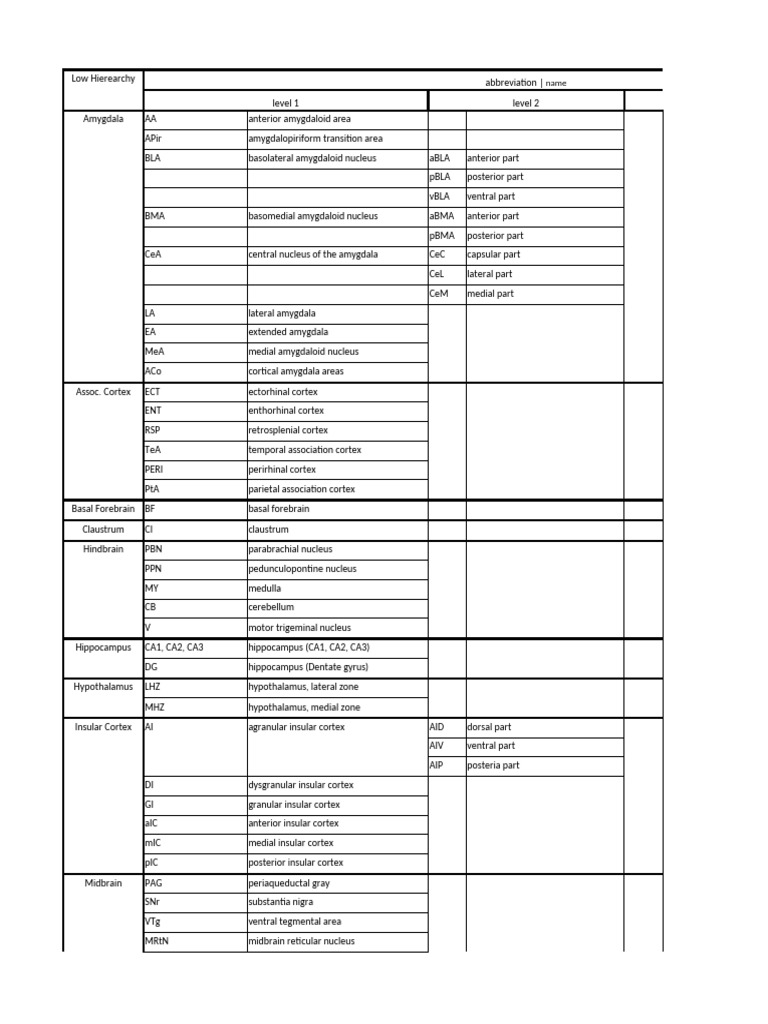 Insular Cortex Projections | PDF | Hippocampus Anatomy | Striatum