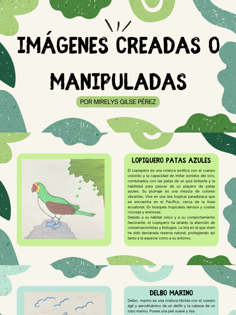Imágenes Manipuladas o Creadas - Gilse | PDF