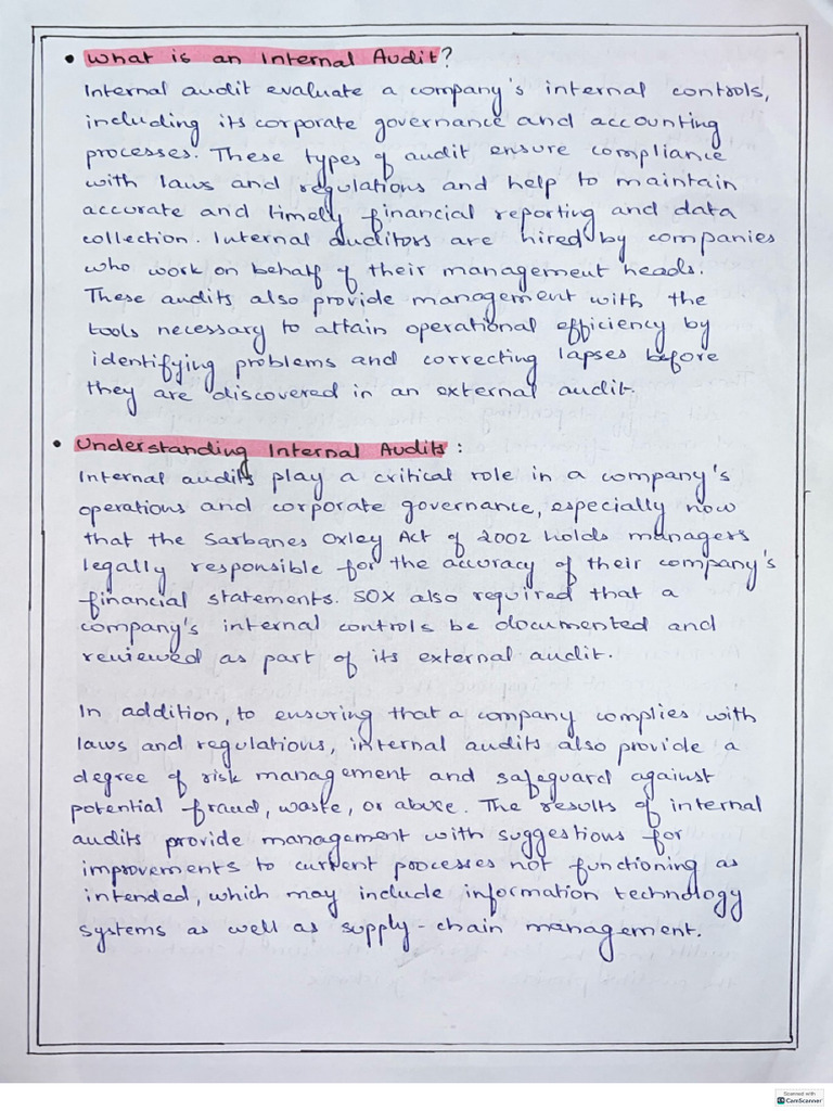Internal Audit Meaning | PDF