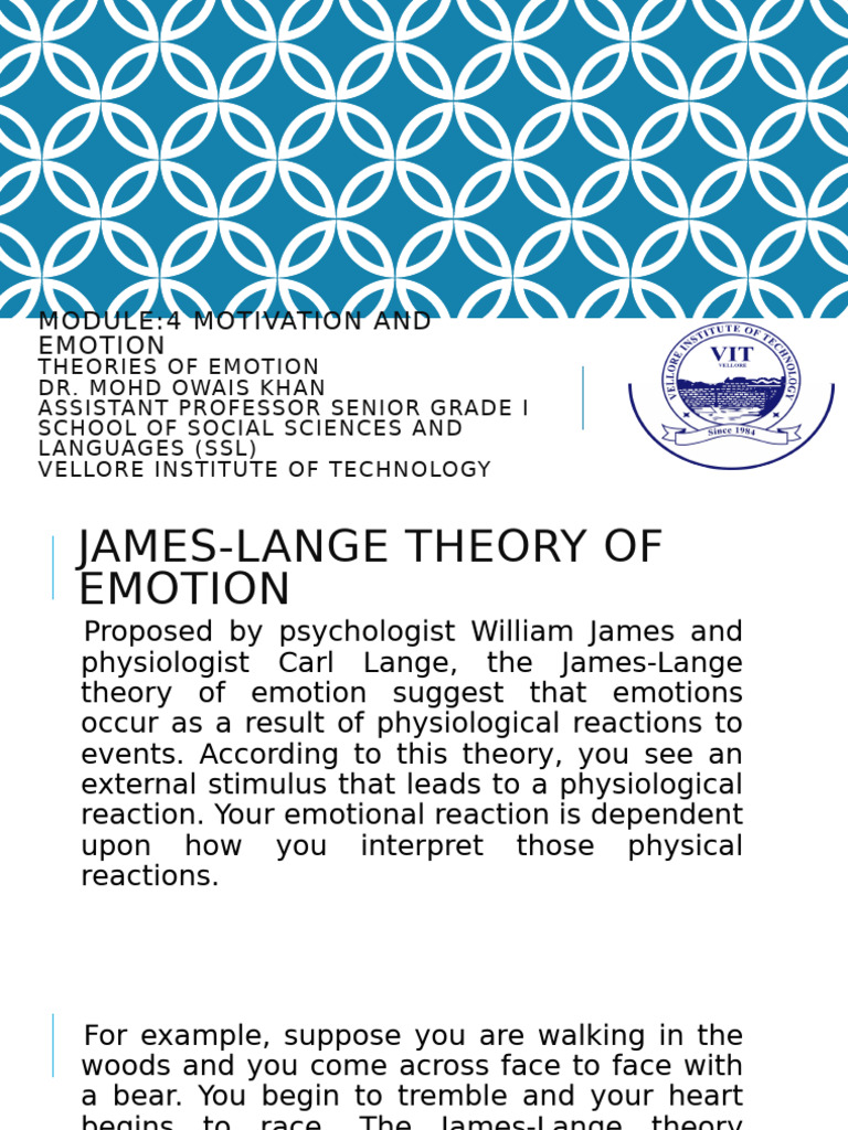 17-Theories of Emotions-06-09-2024 | PDF | Emotions | Psychology