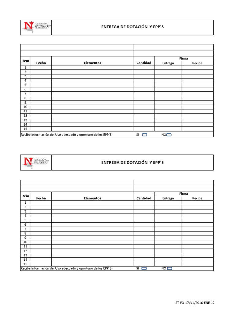 Registro de Entrega de EPPs | PDF
