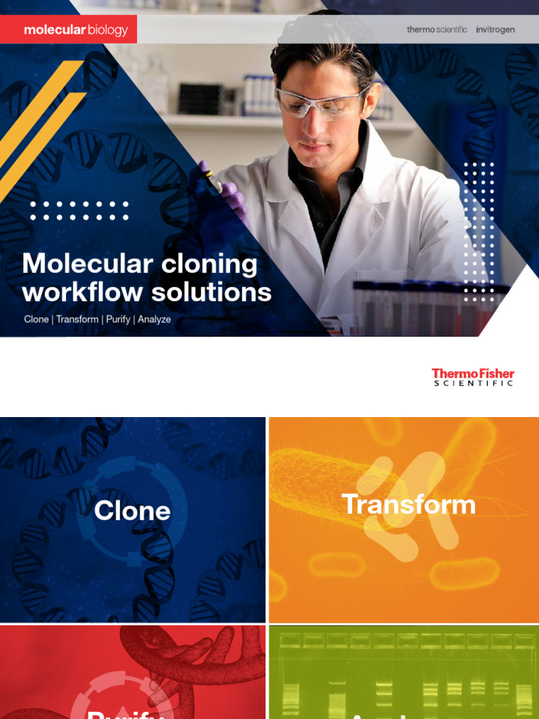 Molecular Cloning Workflow Solutions Brochure | PDF | Molecular Cloning ...