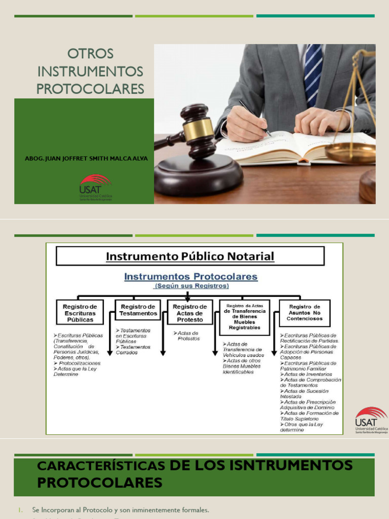 Otros Instrumentos Protocolares | PDF | Matrimonio civil | Asociación doméstica