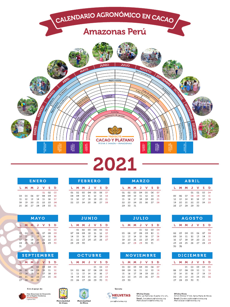 CALENDARIO CACAO 2021 - CURVAS | PDF
