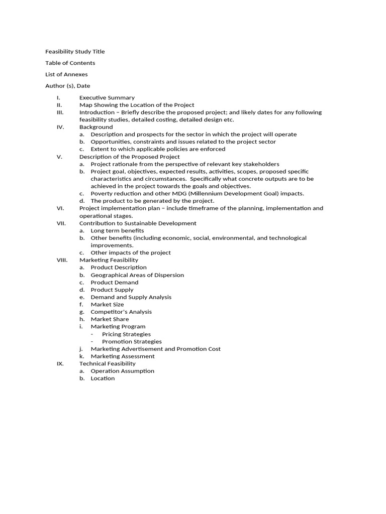 Feasible Format Guide | PDF | Feasibility Study | Marketing
