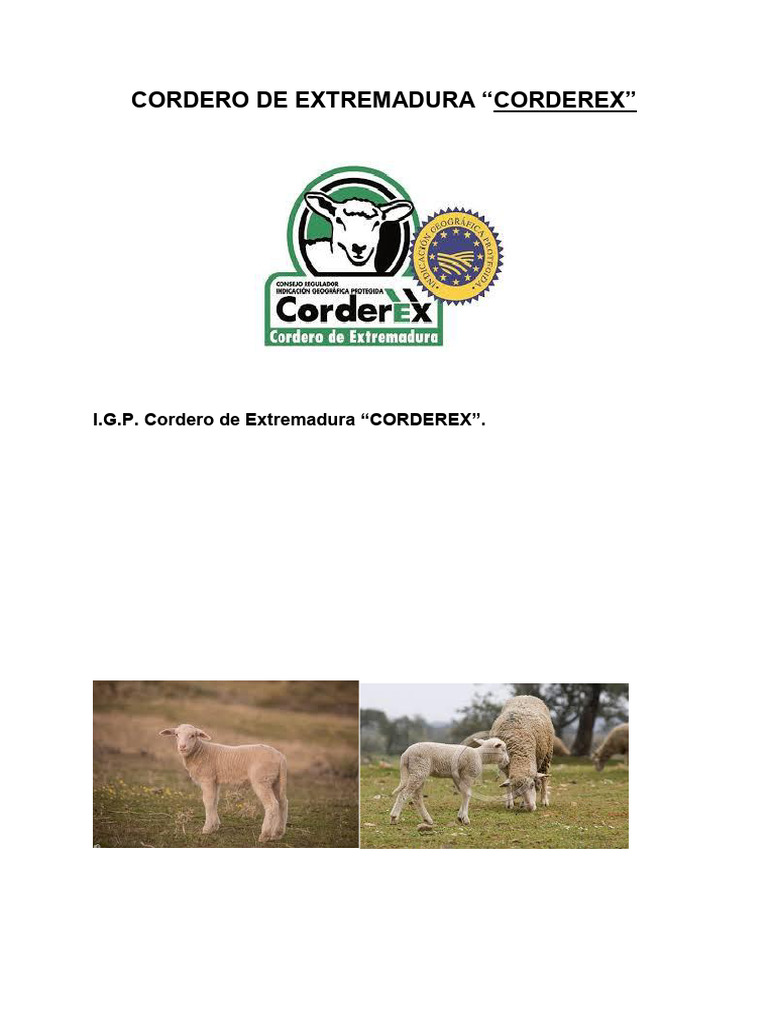 CORDEREX | PDF | Carne | Alimentos