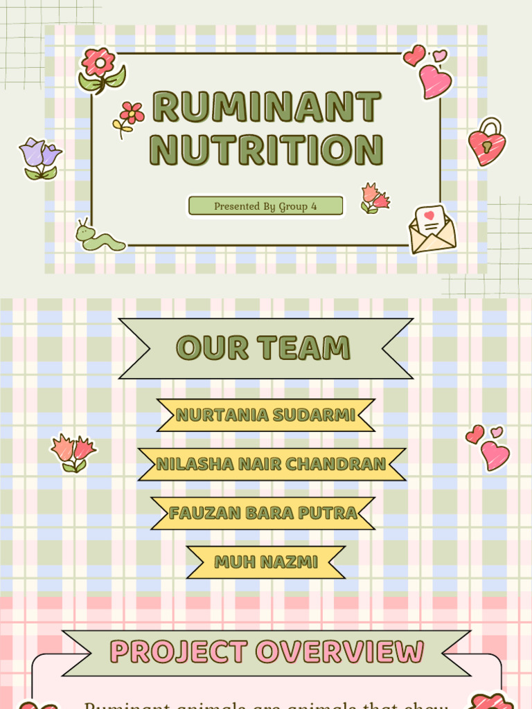 Ruminant Nutrition Group 4 | PDF | Ruminant | Digestion