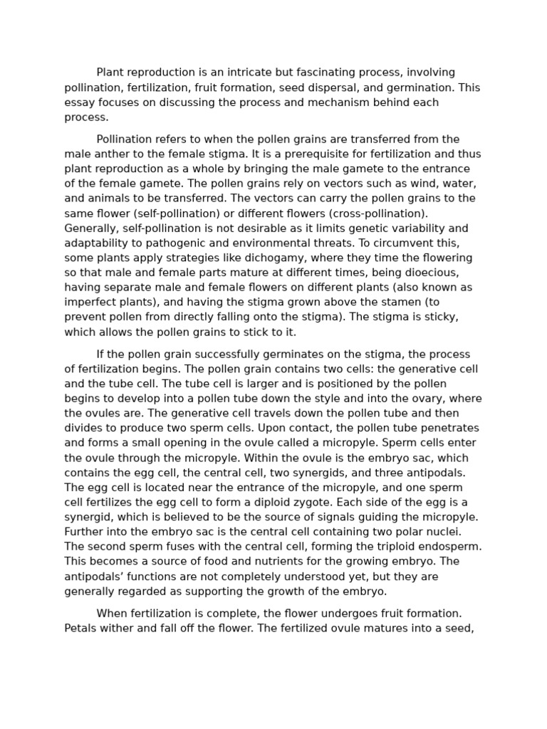 Pollination, Fertilization, and Seed Dispersal | PDF | Fertilisation | Flowers