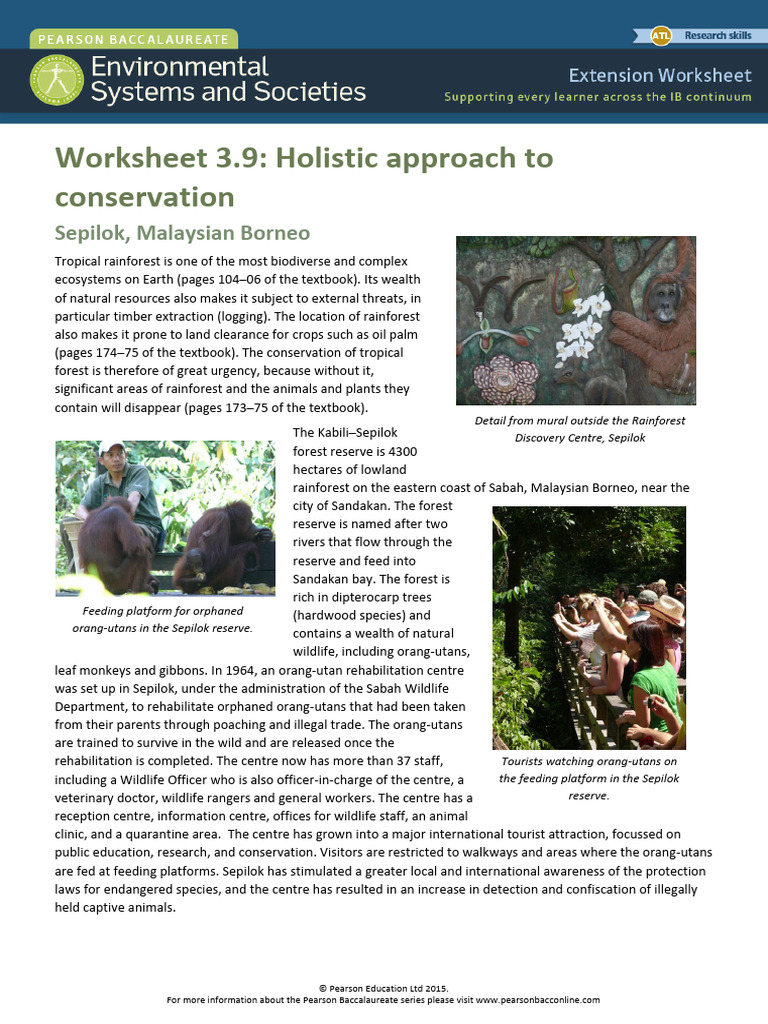 ess_worksheet_3-9 | PDF | Rainforest | Orangutan