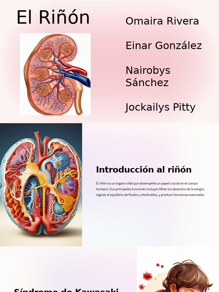 Trasplante de Riñón en Panamá: Guía Completa | PDF | Trasplante de ...