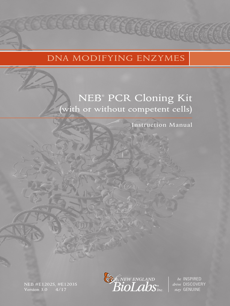 NEB_cloning_kit | PDF | Molecular Cloning | Polymerase Chain Reaction