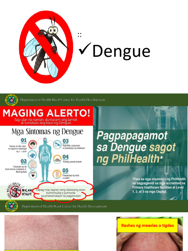 Dengue Awareness and Prevention Guide | PDF | Mosquito | Public Health