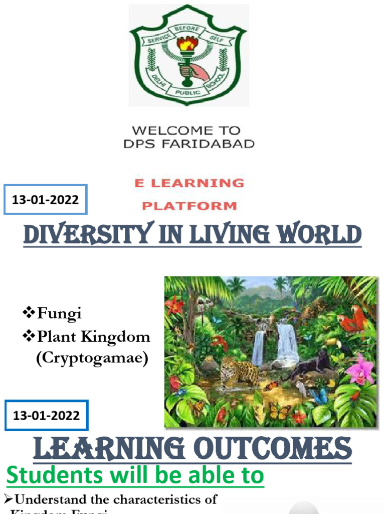 Diversity in Fungi and Plant Kingdoms | PDF | Fern | Plants