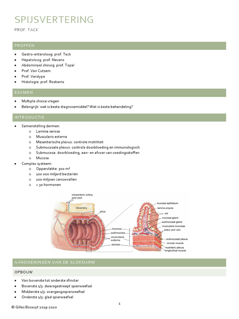 Gilles Bossuyt - Prof. Tack | PDF