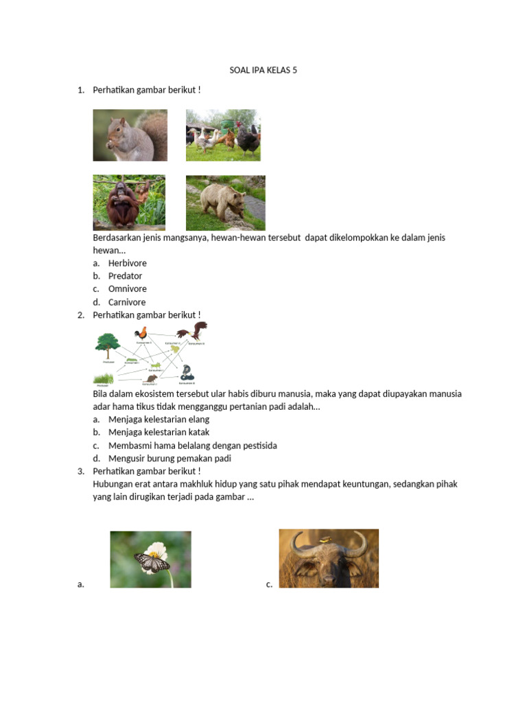 Kuis Ipa Kelas 5 | PDF