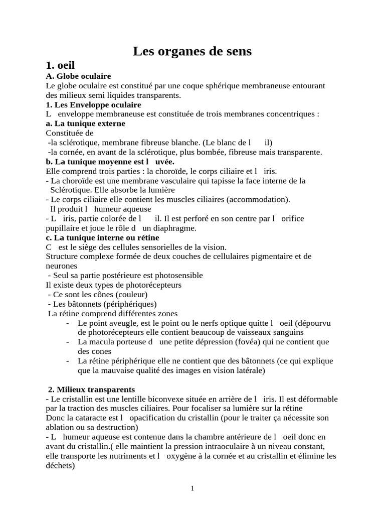 Anatomie et physiologie des sens humains | PDF | Sens (physiologie ...