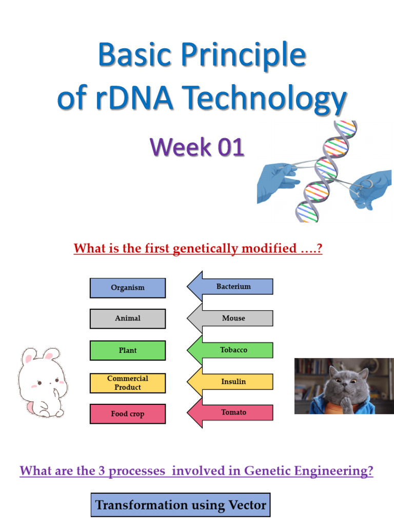 Lesson3 Steps in rDNA | PDF | Molecular Cloning | Recombinant Dna