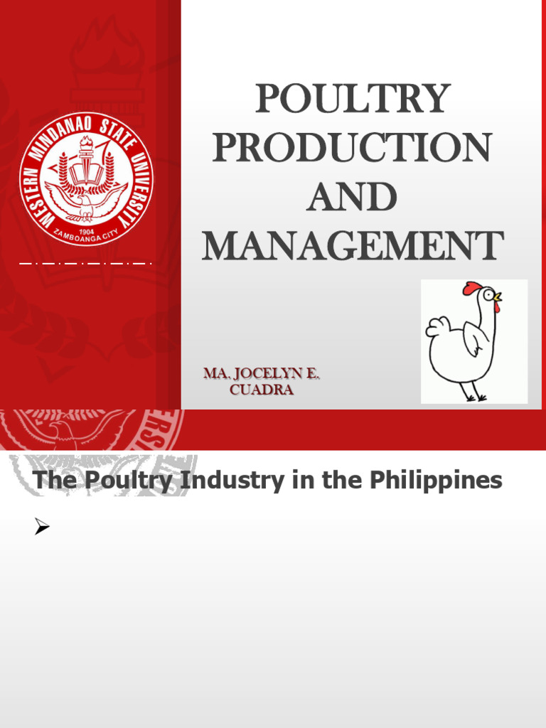 Poultry Production and Management | PDF | Digestion | Gastrointestinal ...