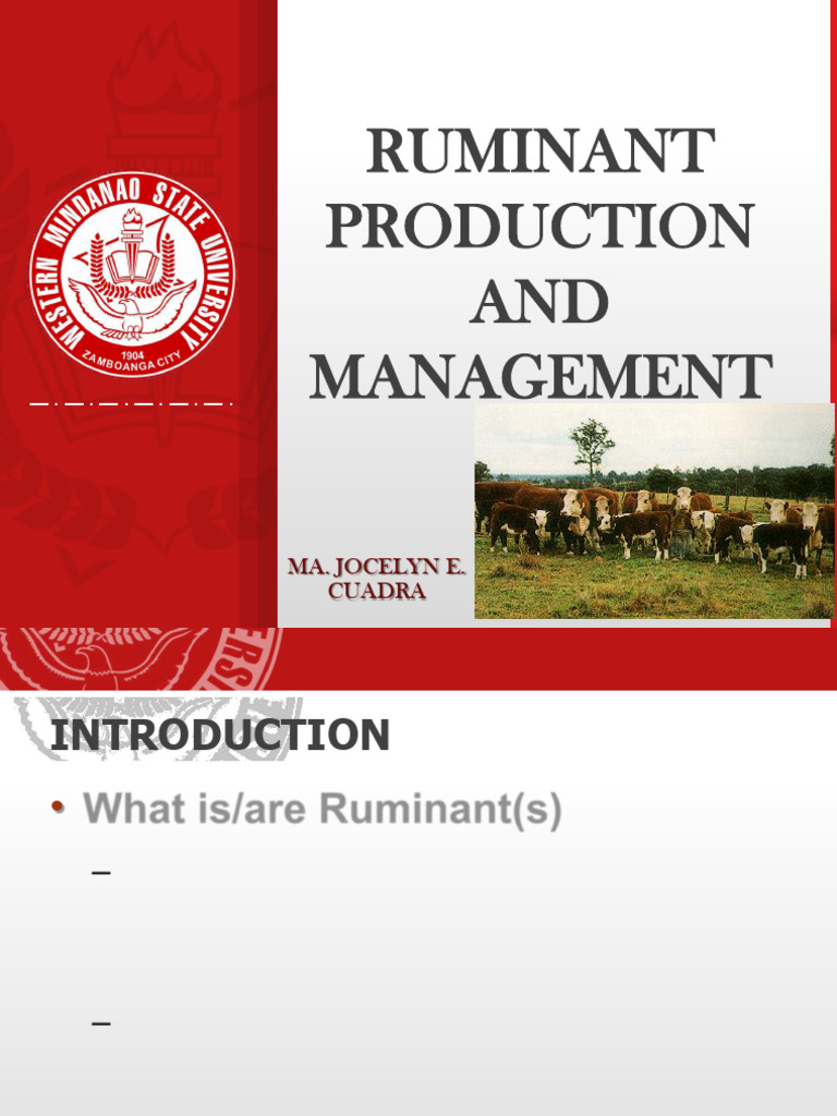 Ruminant Production and Management MJMEC | PDF | Cattle | Ruminant