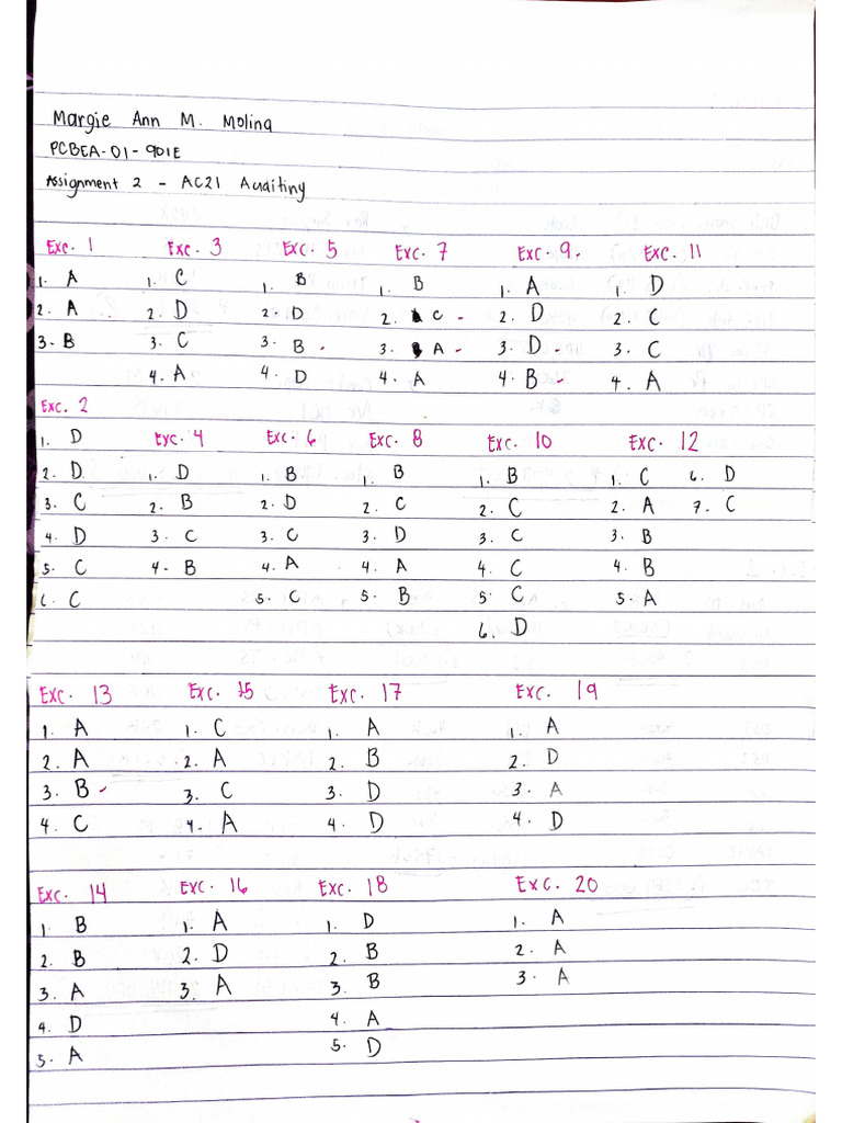 Assignment 2 Auditing | PDF