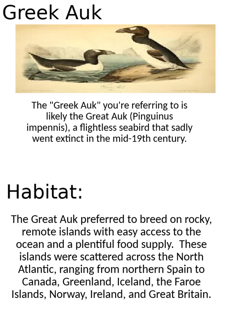 Greek Auk | PDF