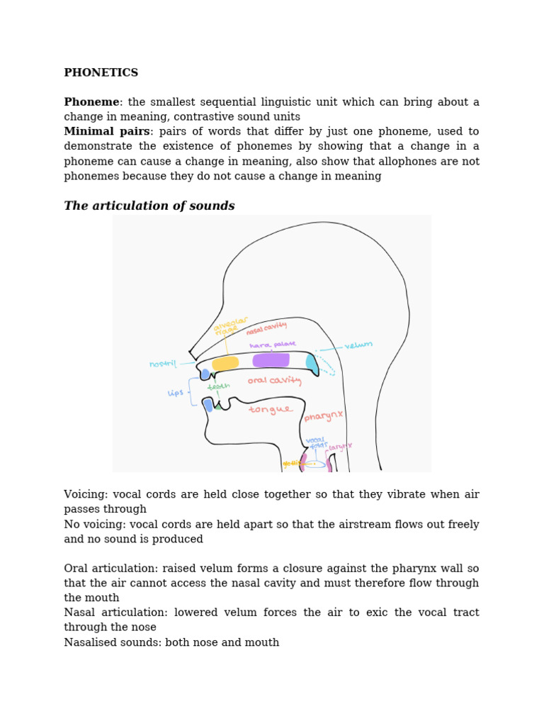 Phonetics 101 Notes | PDF | Syllable | Stress (Linguistics)