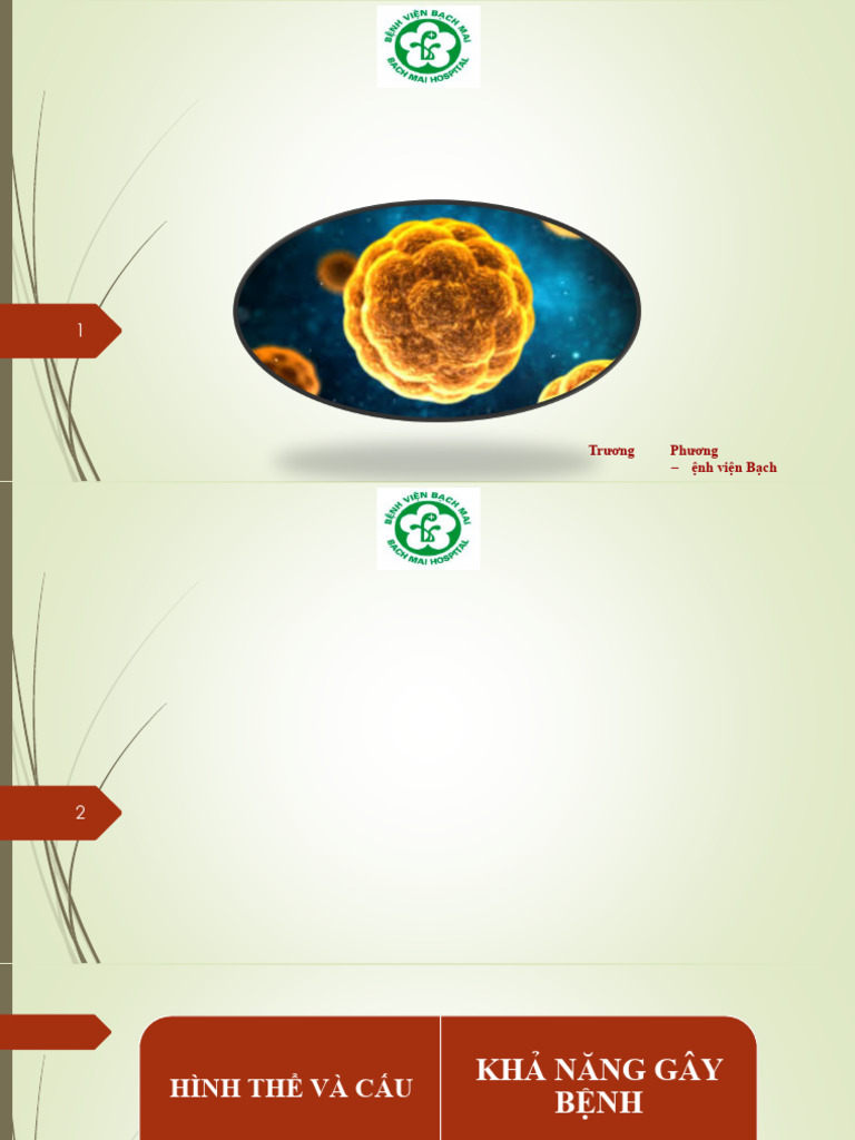 Virus Viêm Gan | PDF