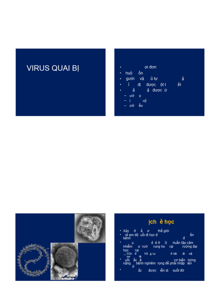 B8 VIRUS QUAI BỊ | PDF