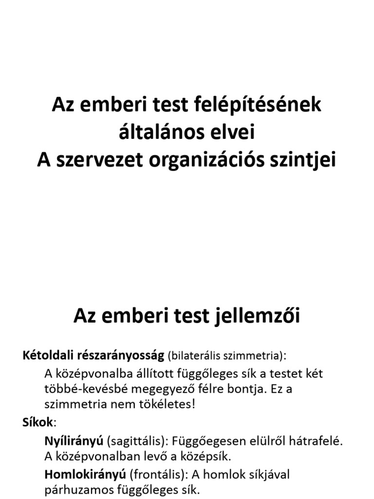 Az Emberi Test Felépítésének Általános Elvei | PDF