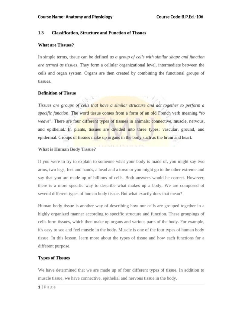 1.3 Classification, Structure and Function of Tissues | PDF | Tissue ...