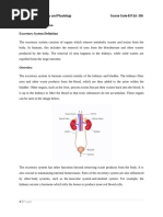 Module Excretory System | PDF | Human Body | Excretion