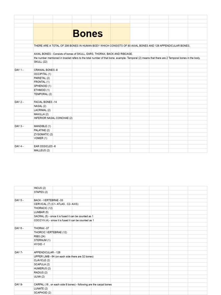 MODULE 1 - BONES (1st year) - Google Sheets | PDF