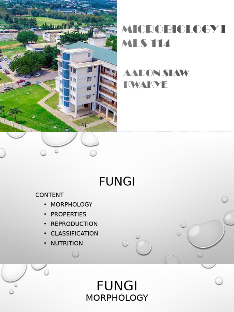 Fungi | PDF