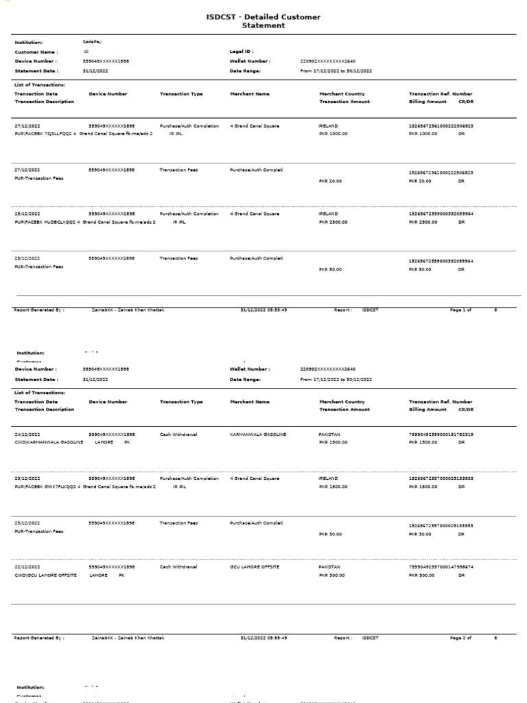 SadaPay Customer Statement Summary | PDF | Debits And Credits | Service ...