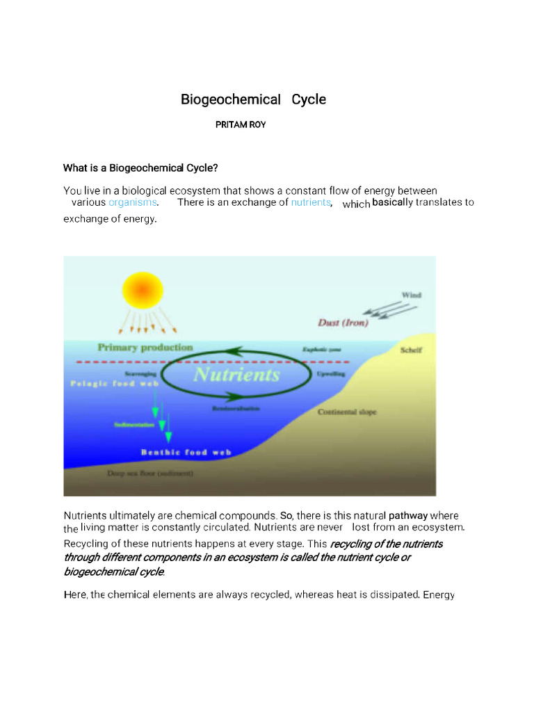 Biogeochemical - Cycle | PDF