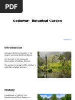 Botany Field Visit Report Class 12 | PDF | Botany | Gardens