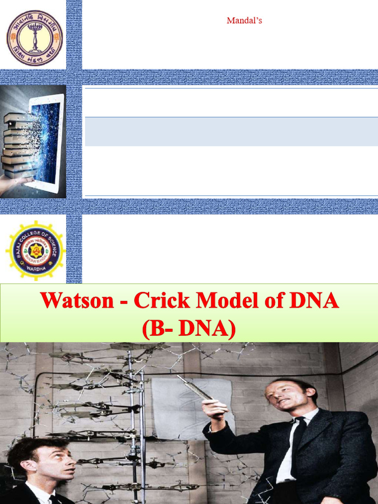 Watson - Crick Model of DNA | PDF | Dna | Nucleic Acid Double Helix