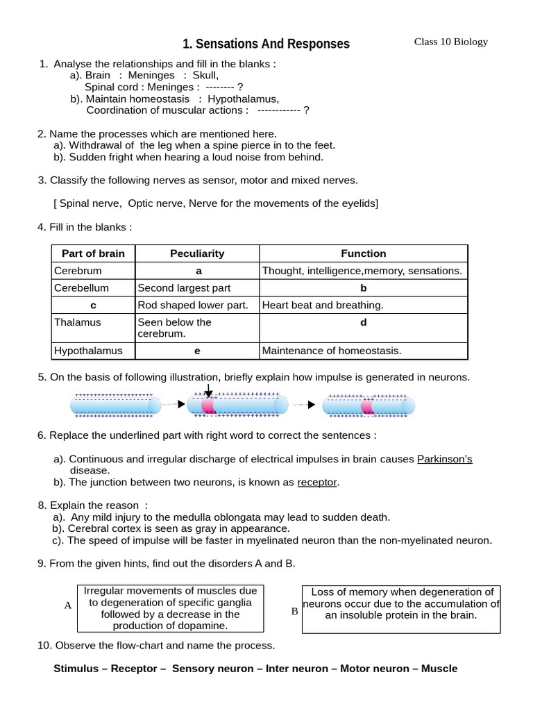 10 Biology Model Qns (Eng Med) All Units - Rasheed Odakkal | PDF | Neuron | Gene
