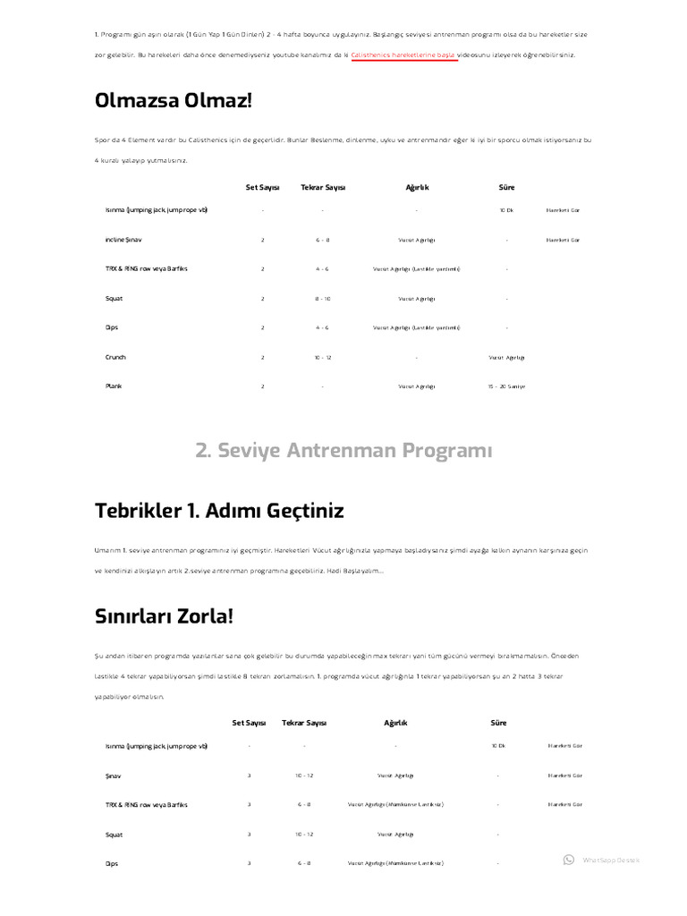 Calisthenics Antrenman Programı - Fitcifitolur-Birleştirildi | PDF