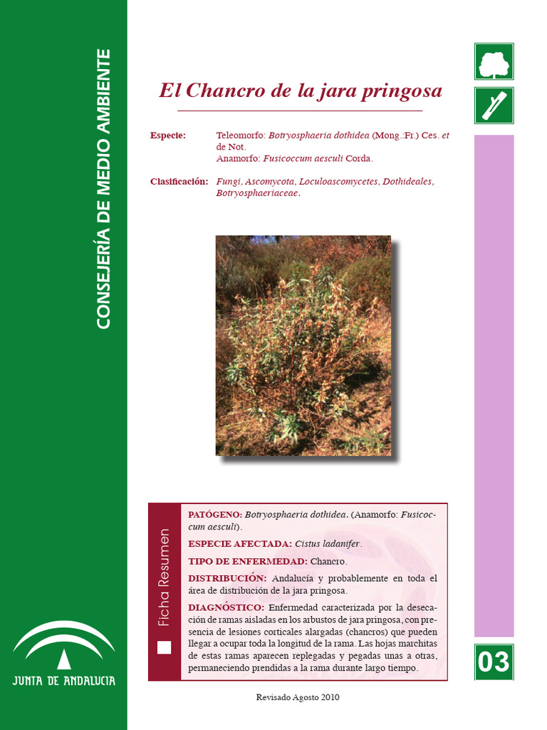 Chancro en Jara Pringosa: Fusicoccum Aesculi | PDF | Hongo