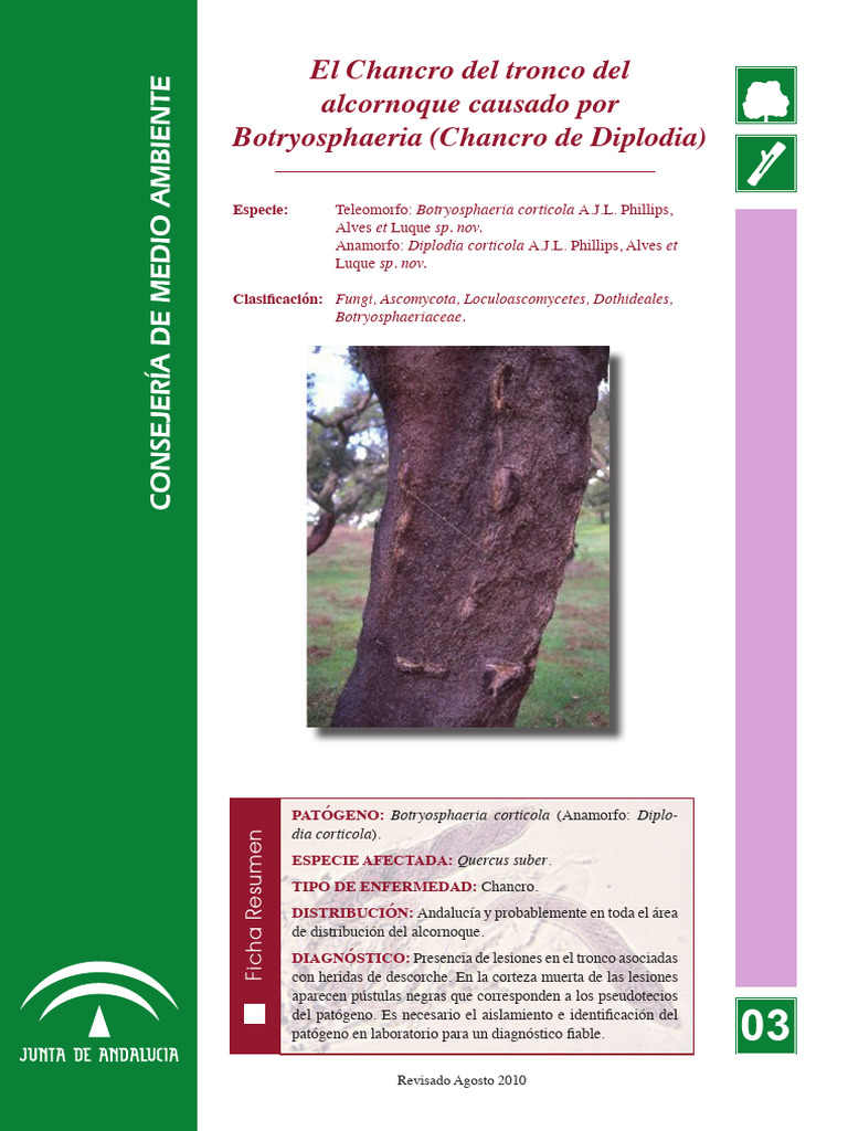Chancro del alcornoque por Botryosphaeria | PDF | Hongo | Infección