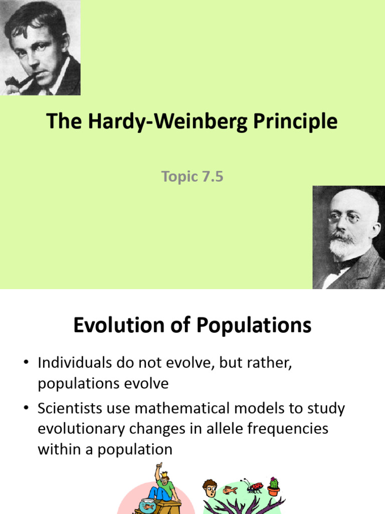 Hardy-Weinberg Presentation 2019 | PDF | Zygosity | Evolution