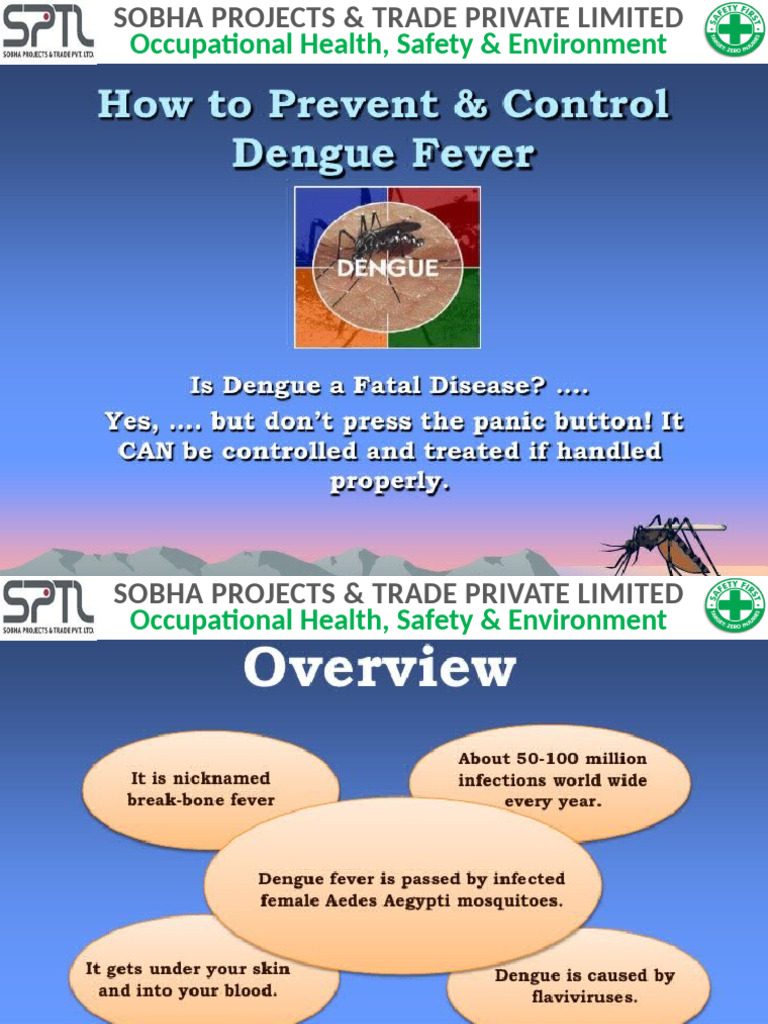Awareness How To Prevent Dengue | PDF | Business | Technology & Engineering