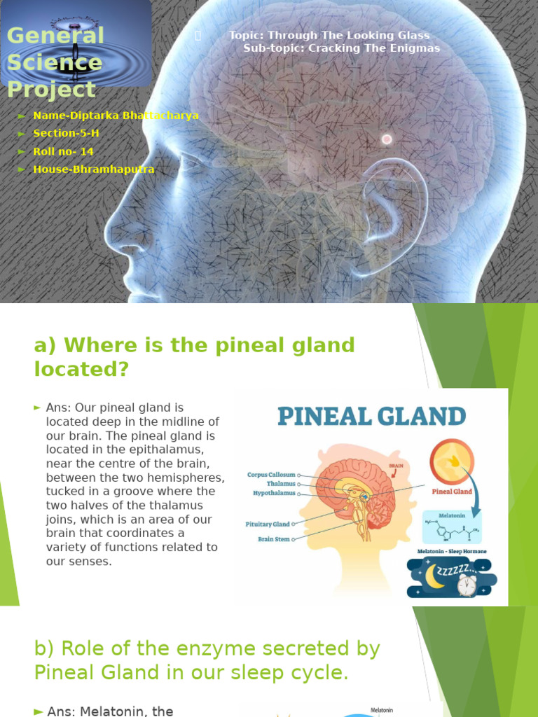 Science Project DIptarka Bhattacharya | PDF